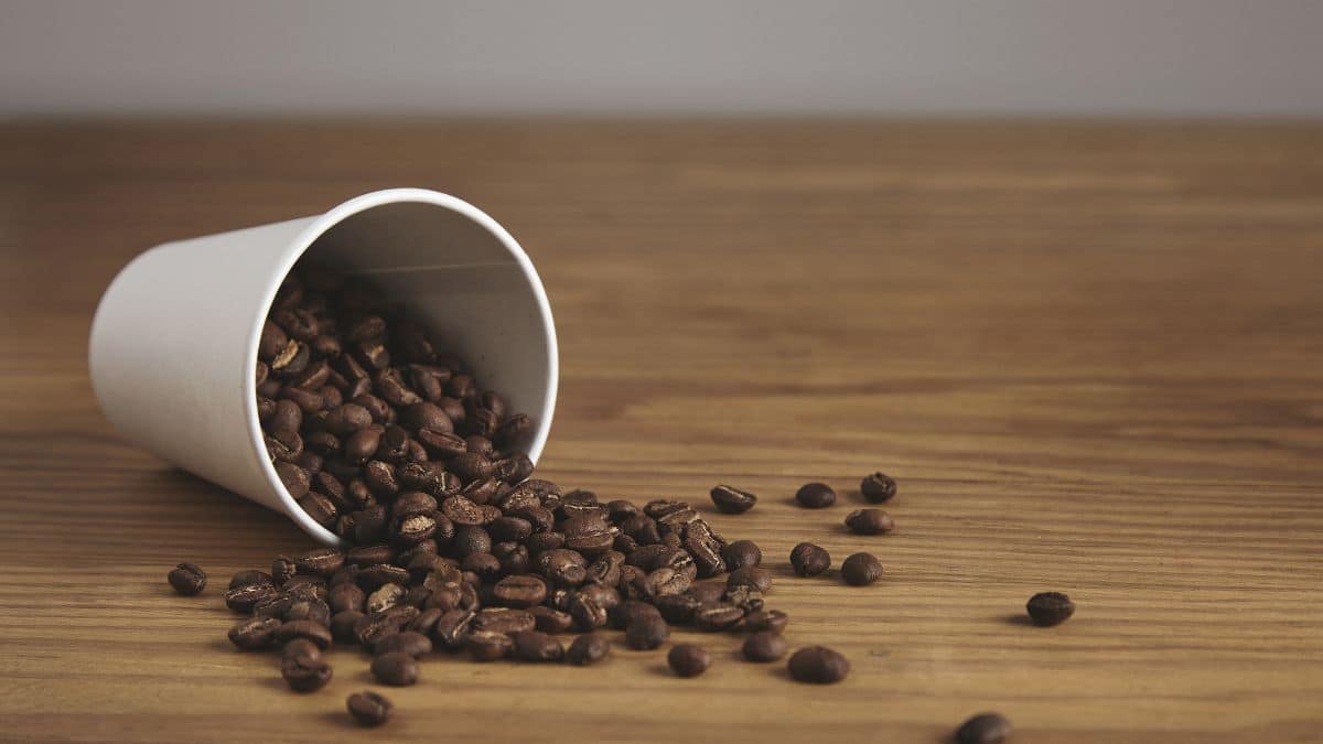 Café mineiro conquista prêmio mundial de melhor café